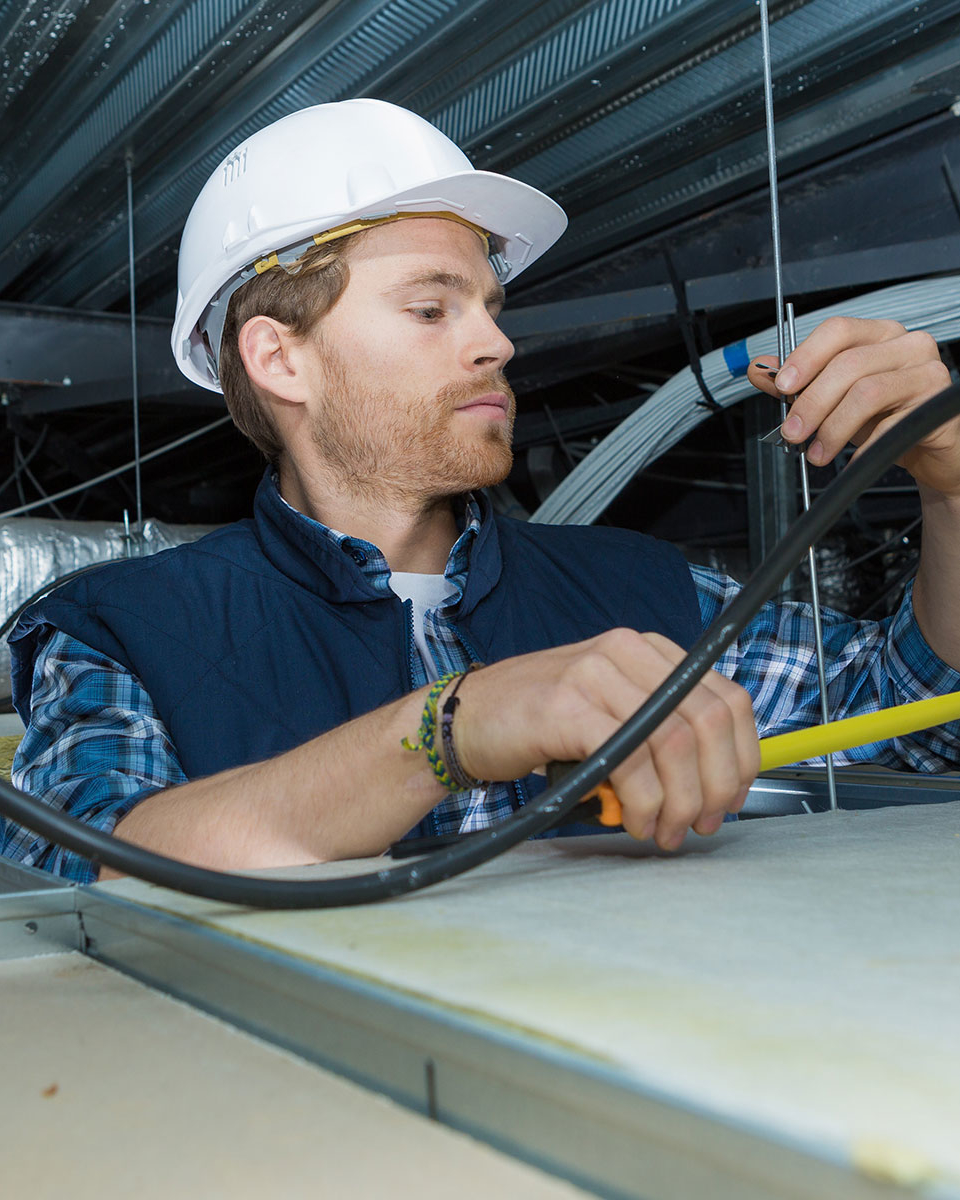 Meet our Technology Teams | SaveMoneyCutCarbon