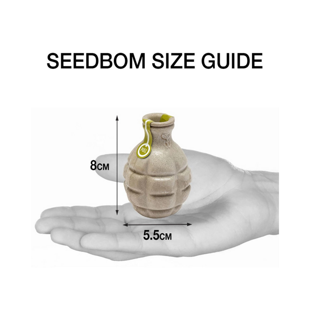 Urban Bloomer Seedbom