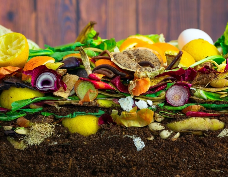 What is the difference between biodegradable and degradable?