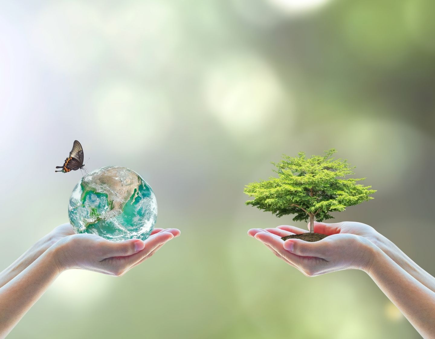 Our quick guide to eco-friendly terms