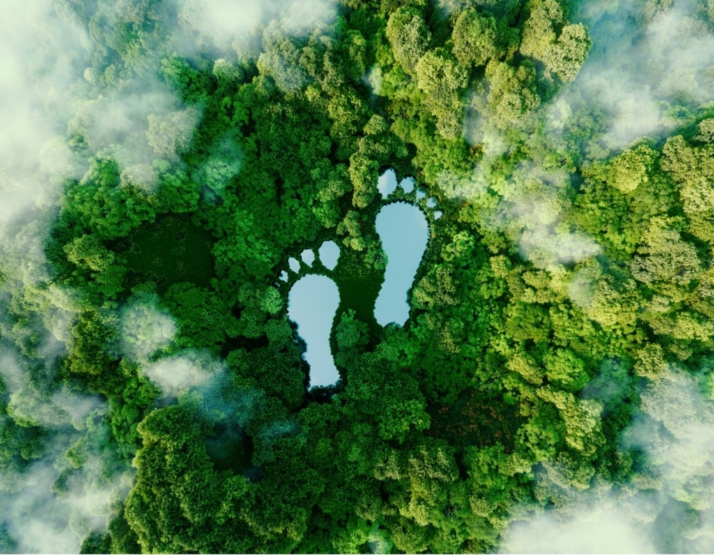 Your Carbon footprint explained | SaveMoneyCutCarbon
