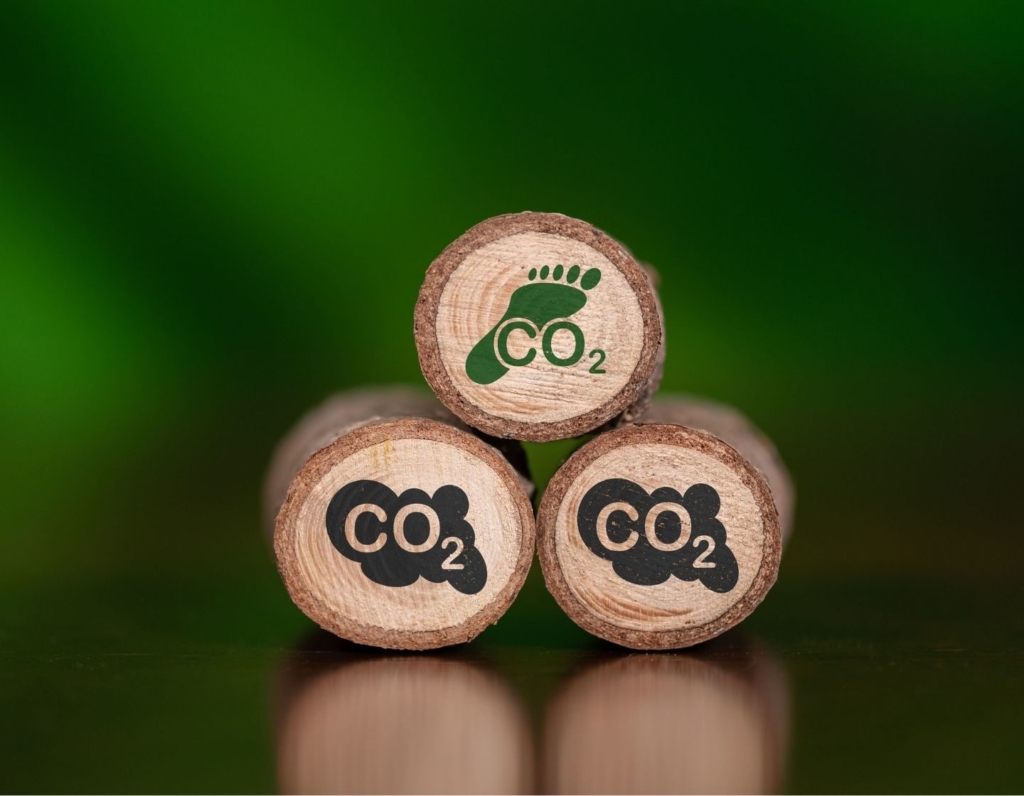 What is a Carbon Footprint?