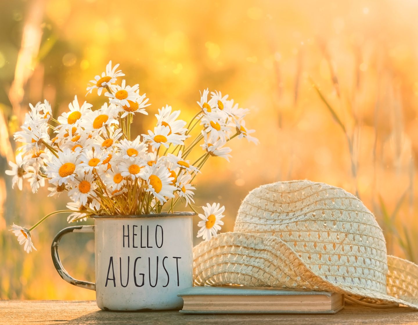 What happened in the world of sustainability in August 2022?