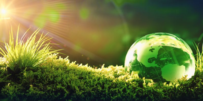 What is green hushing and is it a problem?