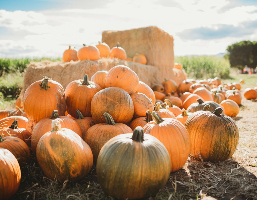 How to have a sustainable Halloween