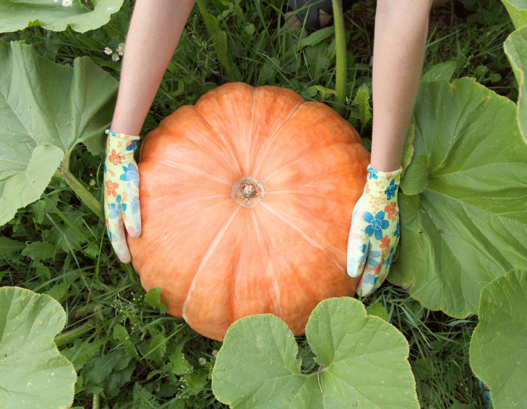 How to have a sustainable Halloween