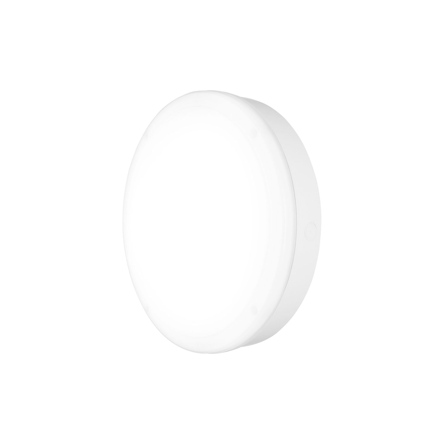 Ledvance LED Surface Bulkhead 15W White 4000K Cool White