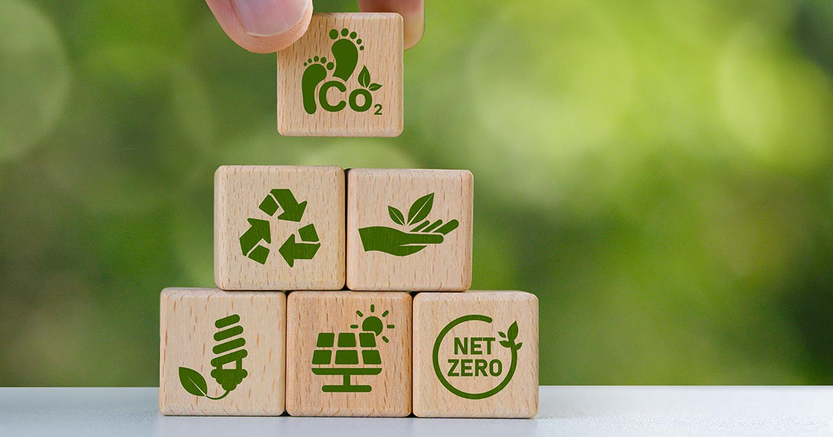 Why your business needs a Carbon Baseline