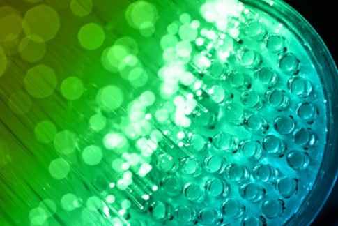 LED lighting moves to centre stage in the debate on climate change