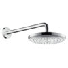 hansgrohe Raindance Select S 240 EcoSmart Rain Chrome Shower Head with ...