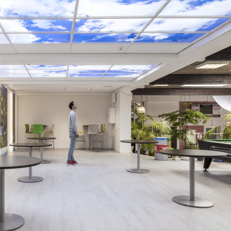 LED Sky Ceilings Set of 4 600×600 LED Panel 1250 lm | Sky1