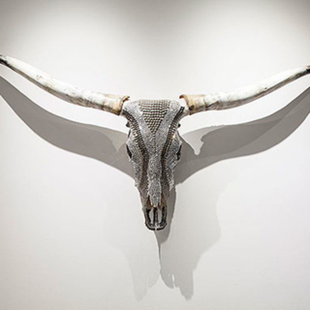 Soraa LED Lighting. Simply Perfect Light. High CRI